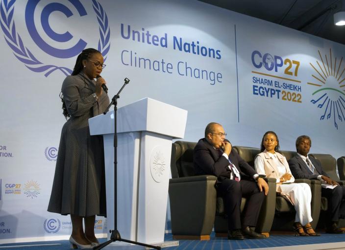 Damilola Ogunbiyi | Sustainable Energy for All